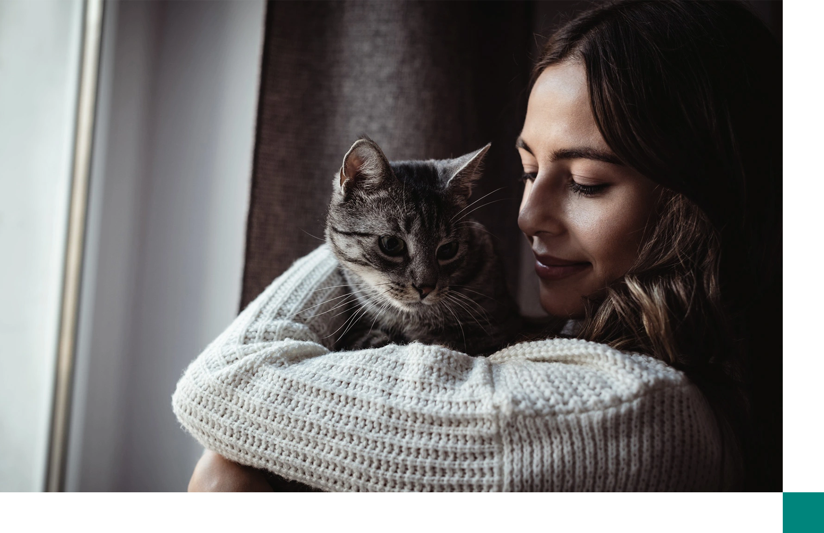 MSD Animal Health Danmark